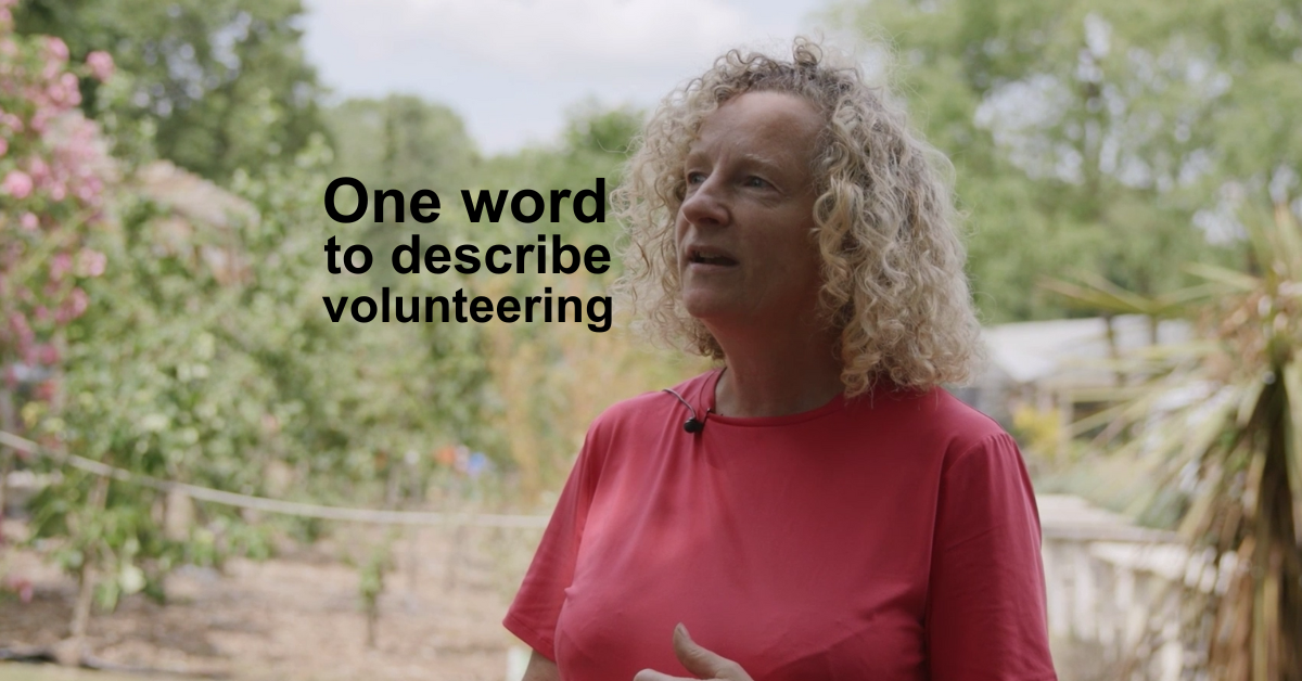 Volunteering in one word - London's Lifelines